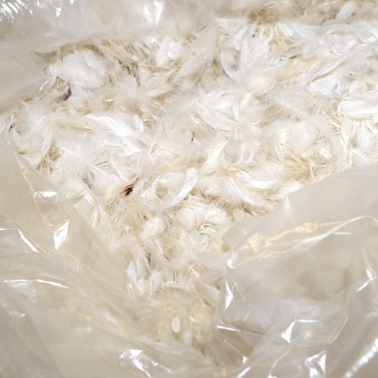 Bag Duck feather - Livedale Foam & Sundries Ltd