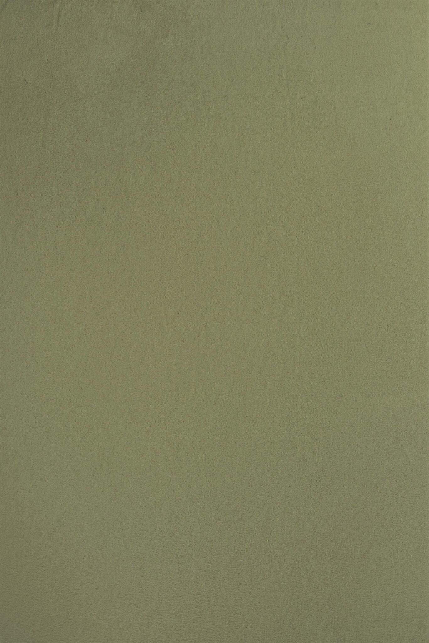 Beige SuedeTrim Foam Backed Faux Suede (per mtr) - Livedale Foam ...